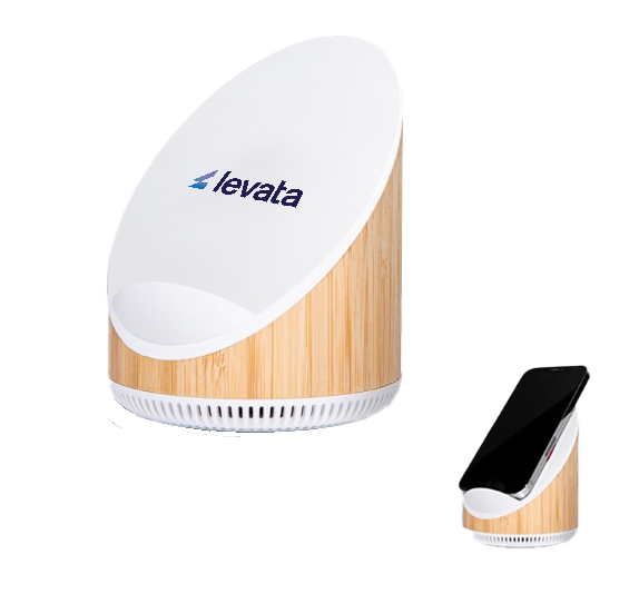 Levata Solutions at Workday